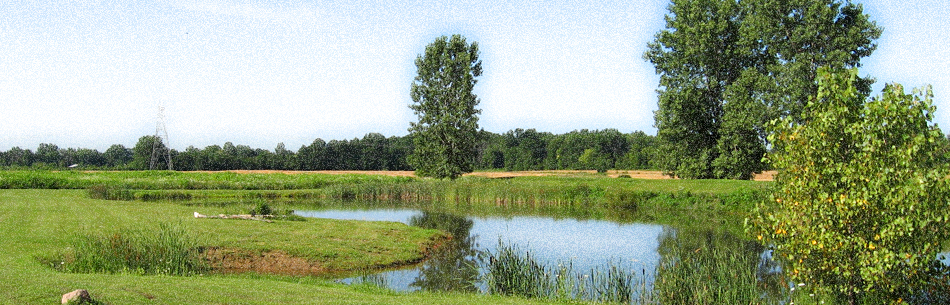 Home - Regional Planning Commission